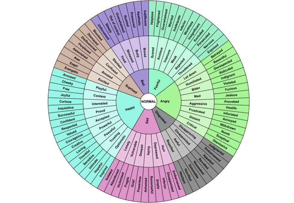 How to Navigate Your Feelings Using the Wheel of Emotions - Self Help ...